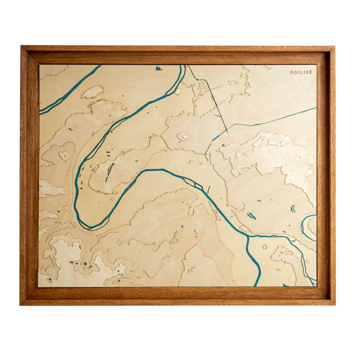Topographic map of Paris in wood and relief