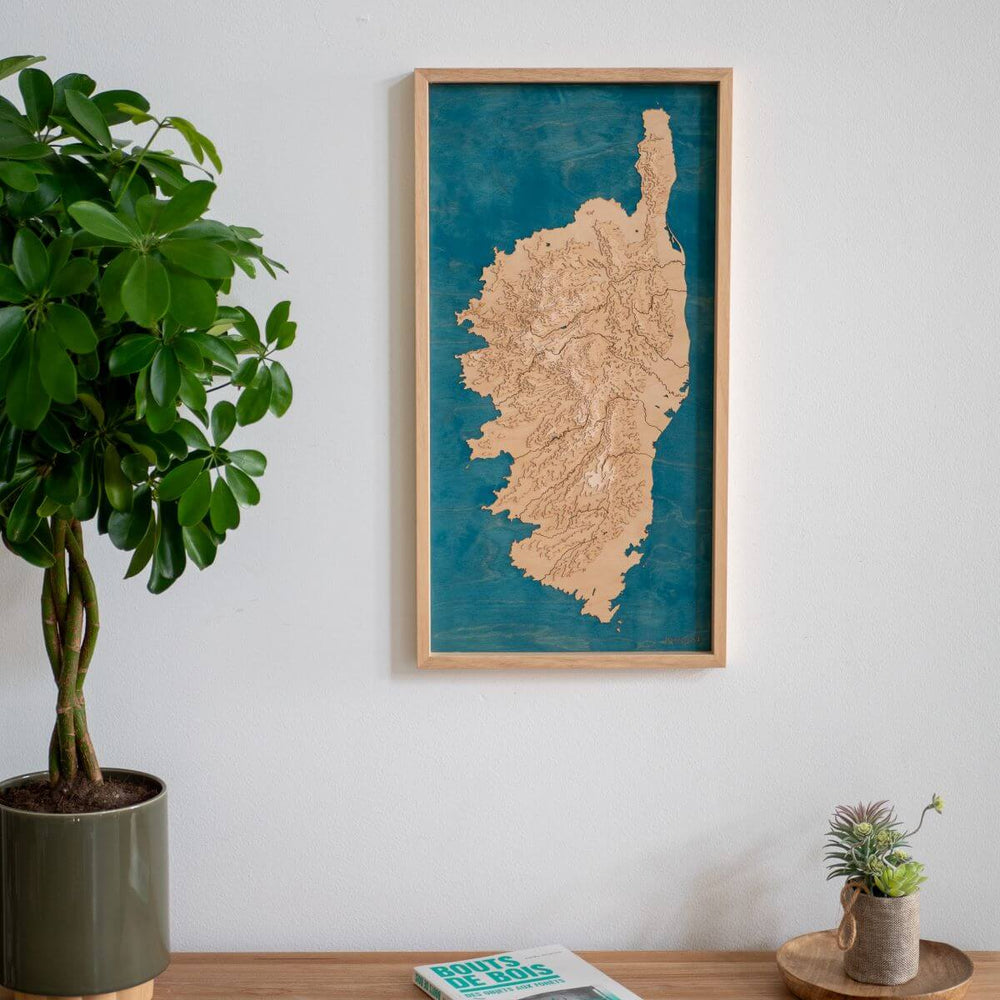Carte topographique en relief de la Corse