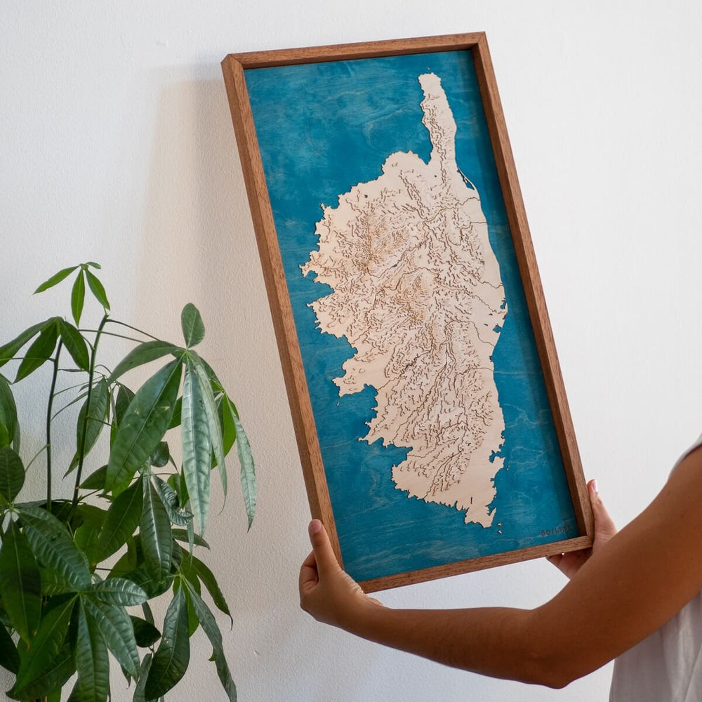 Carte topographique en relief de la Corse