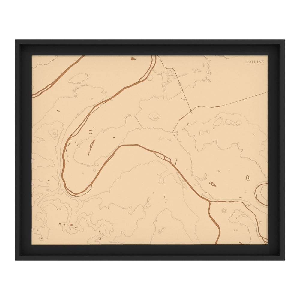 Topographic map of Paris in wood and relief
